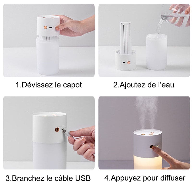 Humidificateur Brumisateur Rechargeable Double Buse - RIO ...